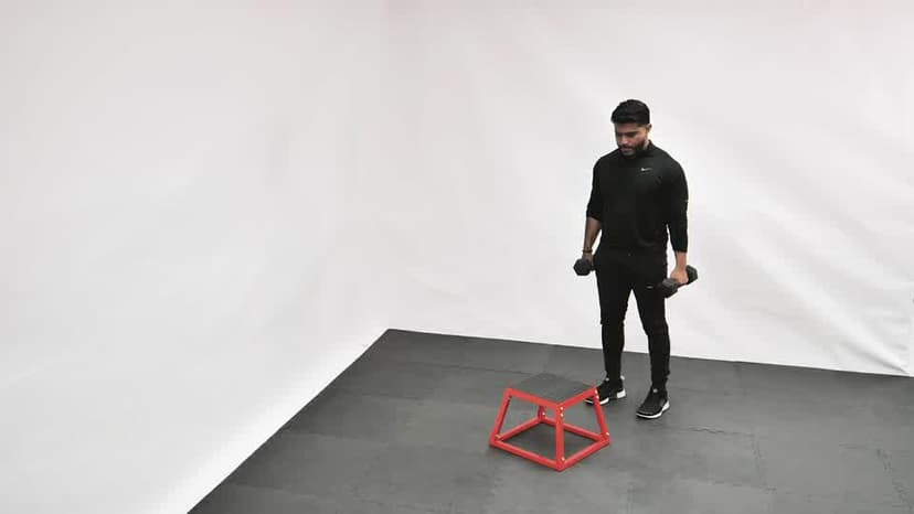 Smith Machine Bicep Curl - JEFIT