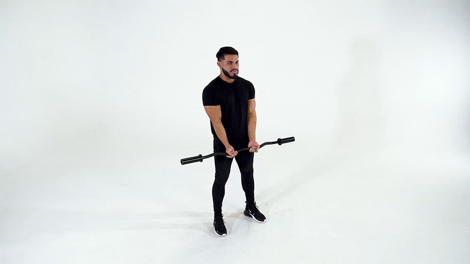 Smith Machine Bicep Curl - JEFIT