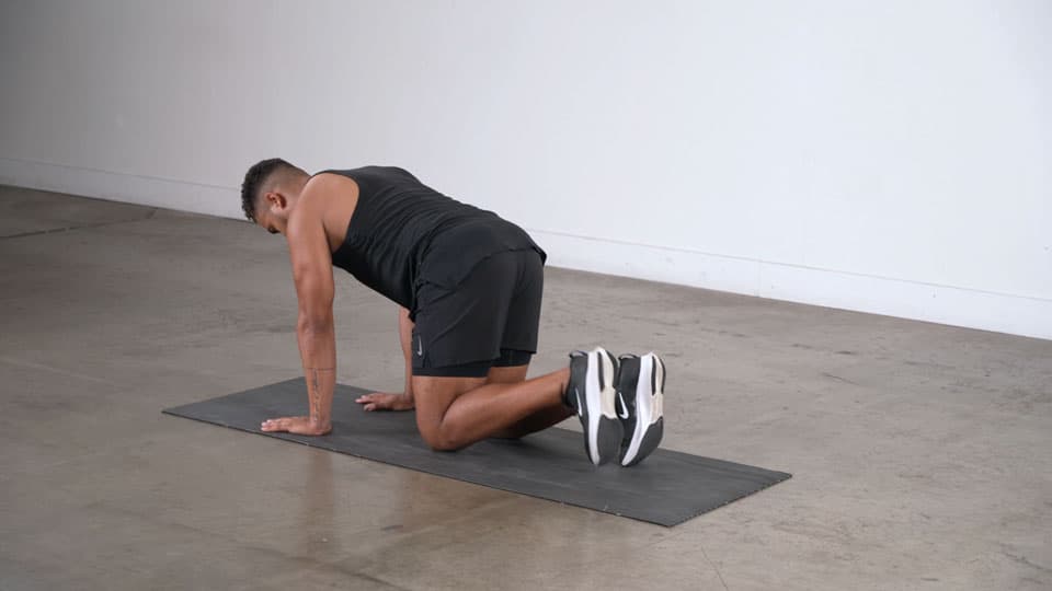 Seated Glute Stretch - JEFIT