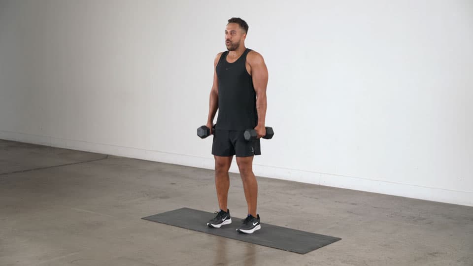 Dumbbell Shoulder Shrug - JEFIT