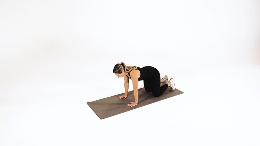 Plank with Shoulder Taps - JEFIT