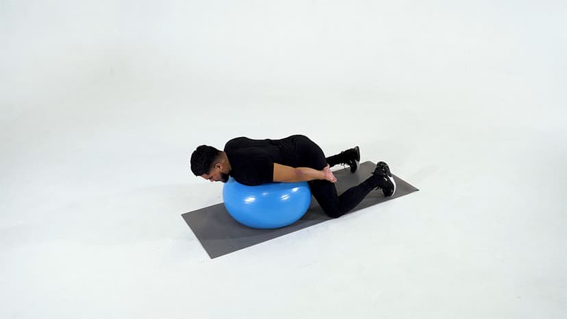Back Extension (Prone) - JEFIT