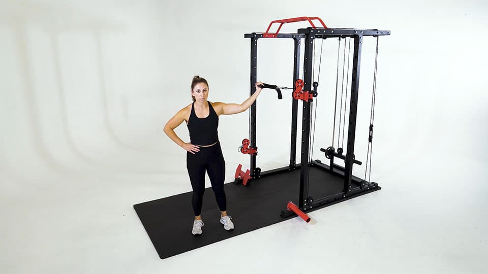 Dumbbell Hammer Curl Cross Body Jefit