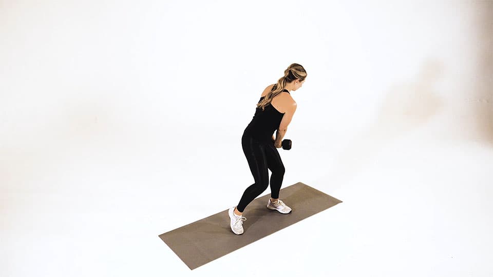 Parallel Bar Hip Flexion - JEFIT