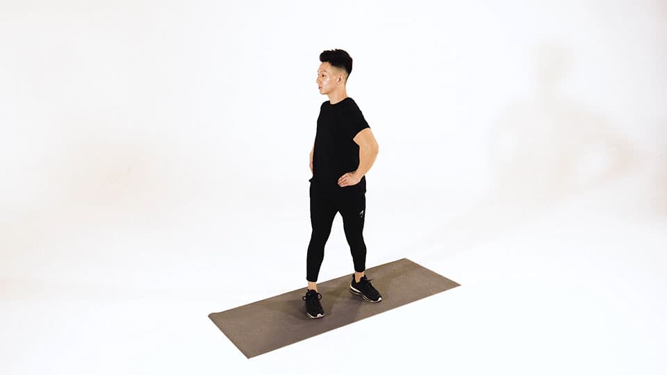 Standing Trunk Rotation - JEFIT