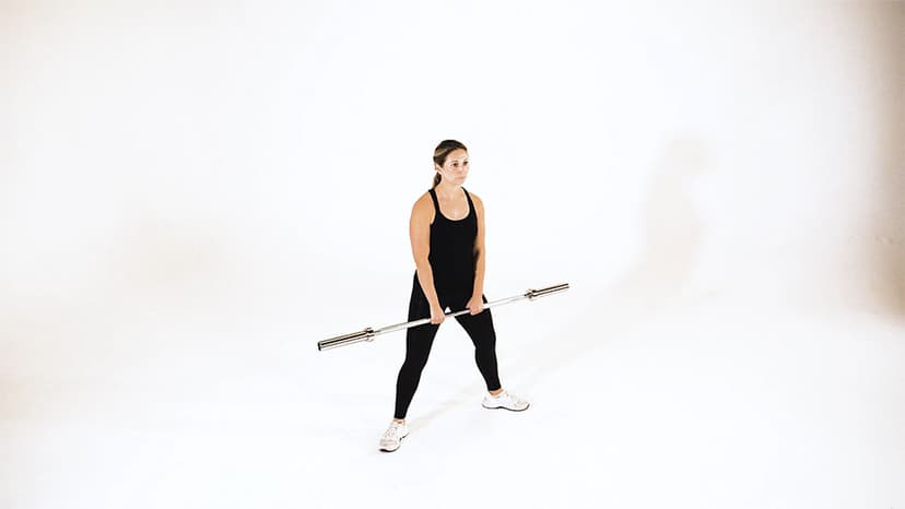 Standing Trunk Rotation - JEFIT