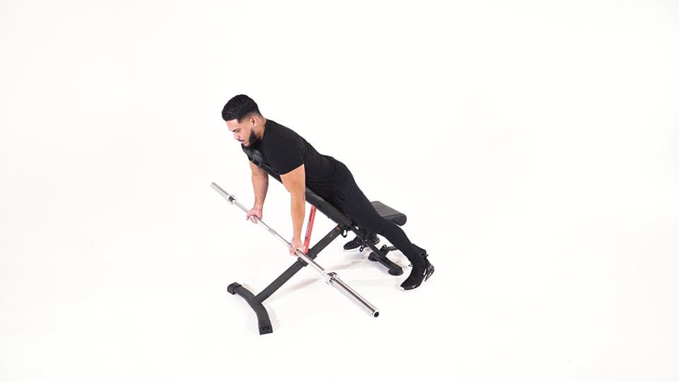 Standing Trunk Rotation - JEFIT
