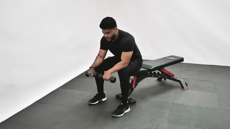 Dumbbell Hammer Curl - JEFIT