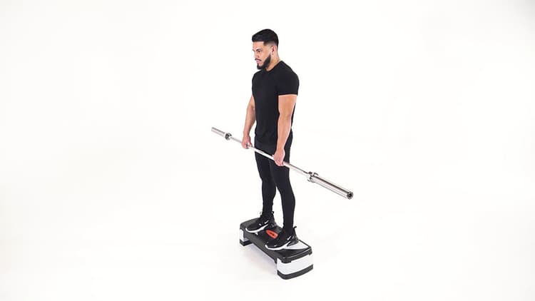 Standing Trunk Rotation - JEFIT