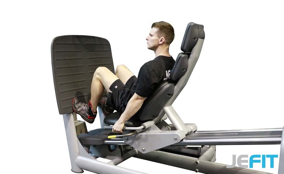 Cable Calf Raise - JEFIT