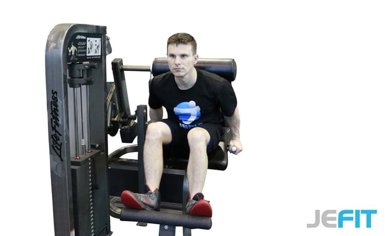 Standing Trunk Rotation - JEFIT