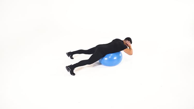 Standing Trunk Rotation - JEFIT