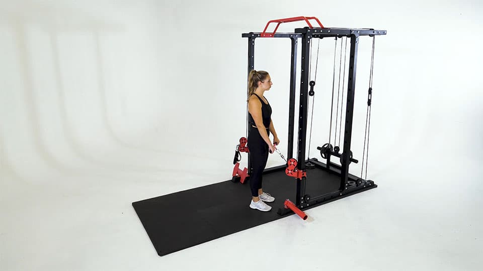 Cable Lat Pulldown (Wide Grip) - JEFIT