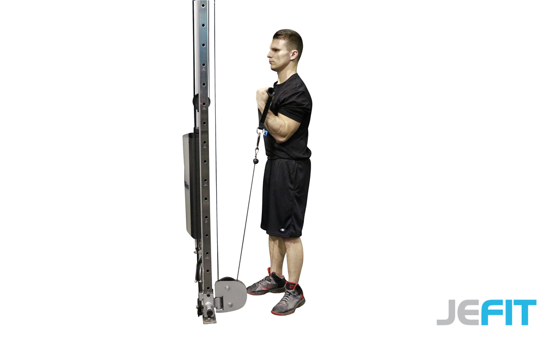 Cable Machine Arm Exercises Atelier Yuwa Ciao Jp