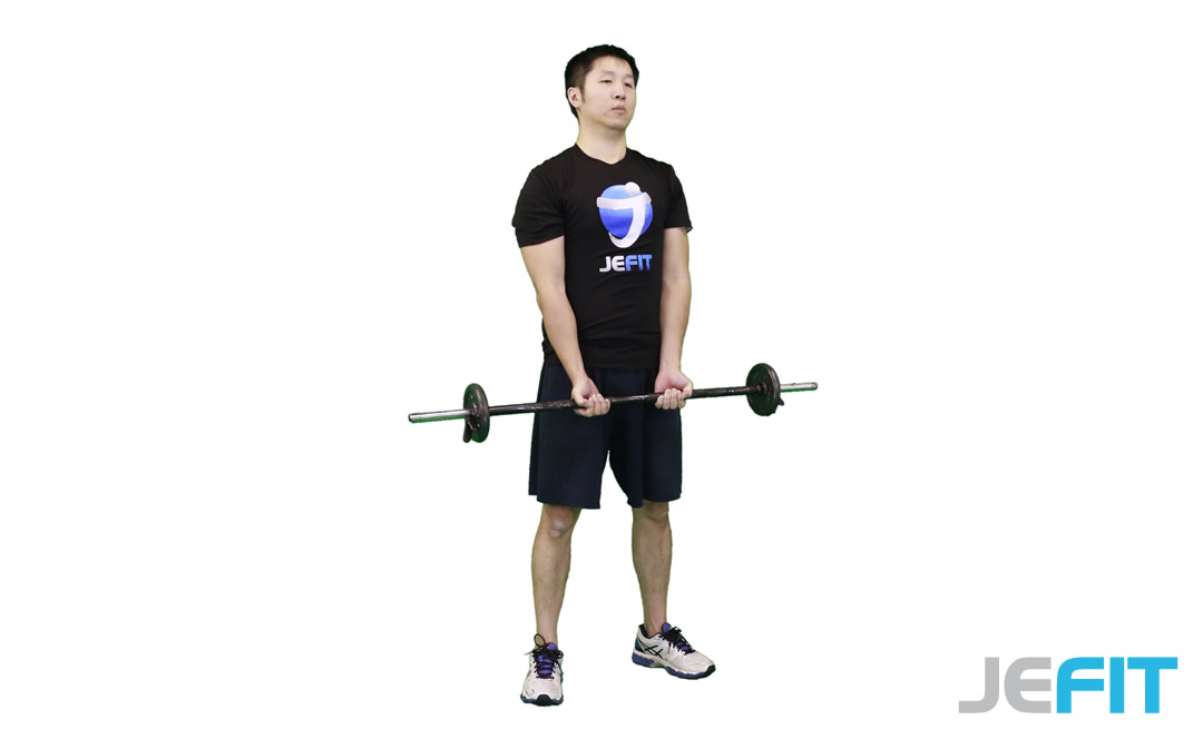 Ez Bar Bent Over Row Reverse Grip A Strength Exercise Atelier Yuwaciaojp