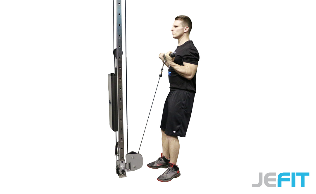 Standing Bicep Curl