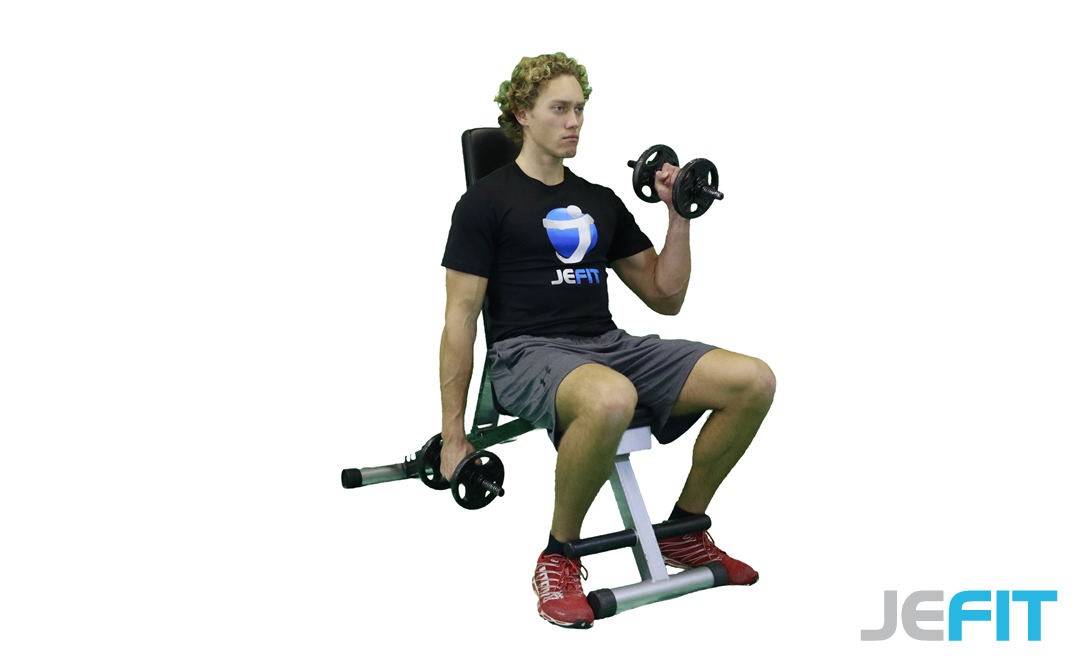 Alternating Hammer Curl
