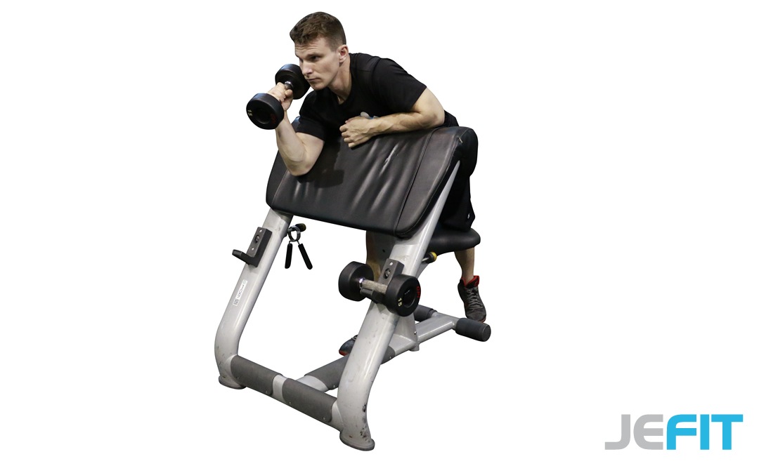 Dumbbell Preacher Curls Atelier Yuwa Ciao Jp