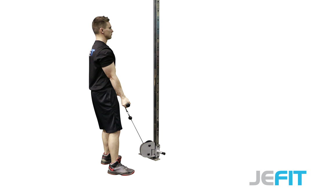 Standing Bicep Curl Machine