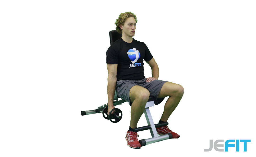 Dumbbell Reverse Concentration Curl A Strength Exercise | atelier-yuwa ... Dumbbell Reverse Concentration Curl A Strength Exercise | atelier-yuwa ...