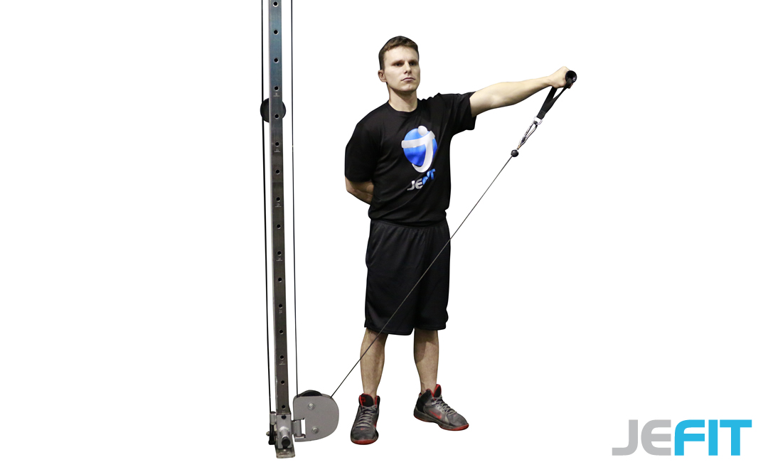 Seated Cable Lateral Raise Atelier Yuwa Ciao Jp