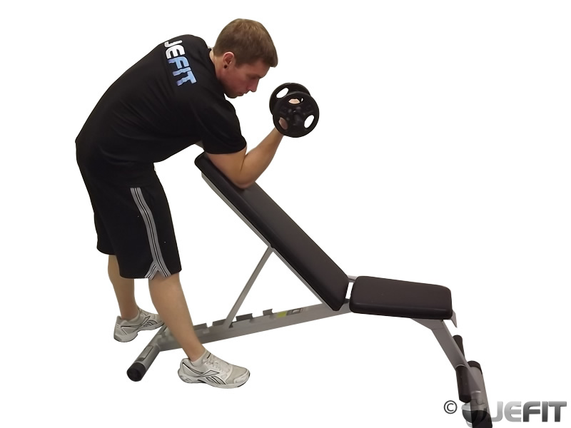 Dumbbell One Arm Zottman Preacher Curl Exercise Database Jefit